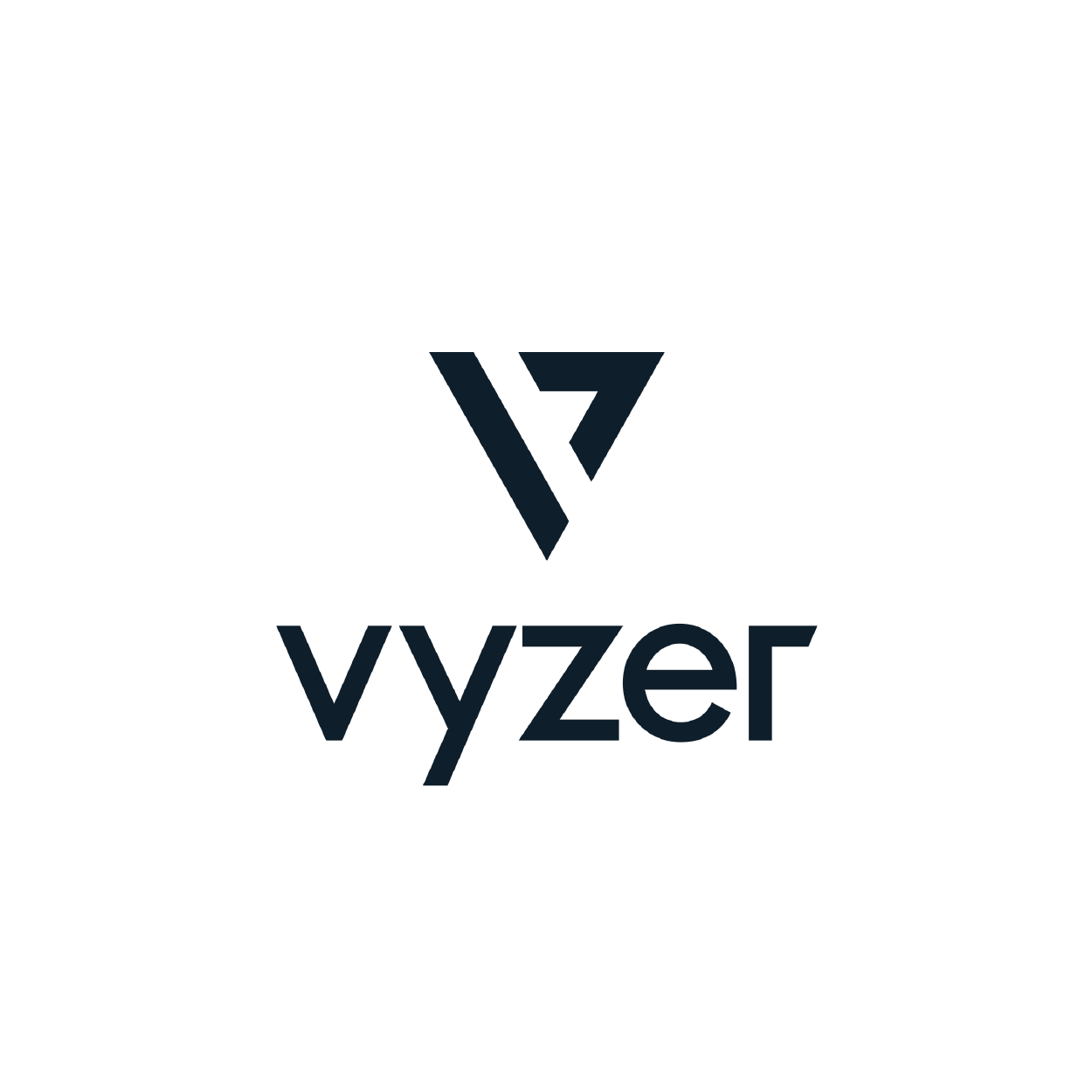 Vyzer - Moneta-Venture Capital
